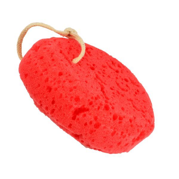 Buy VEGA Sea Bath Sponge-Assorted Colors Online in India at Best Price ...
